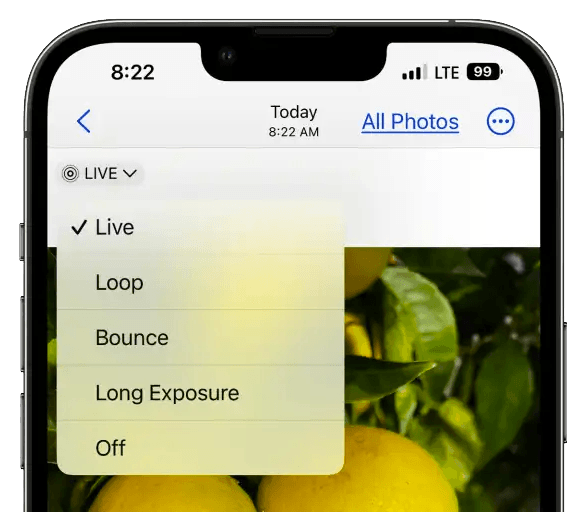 How to Turn off Live Photos in iOS 16 Photos App - Soldrit
